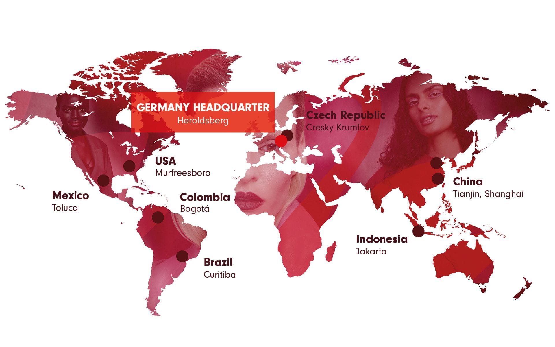 Rede Global - Schwan Cosmetics